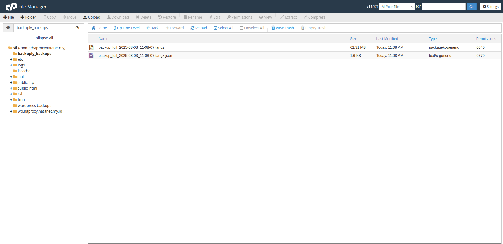 Tutorial Backup dan Restore Menggunakan Backuply di cPanel